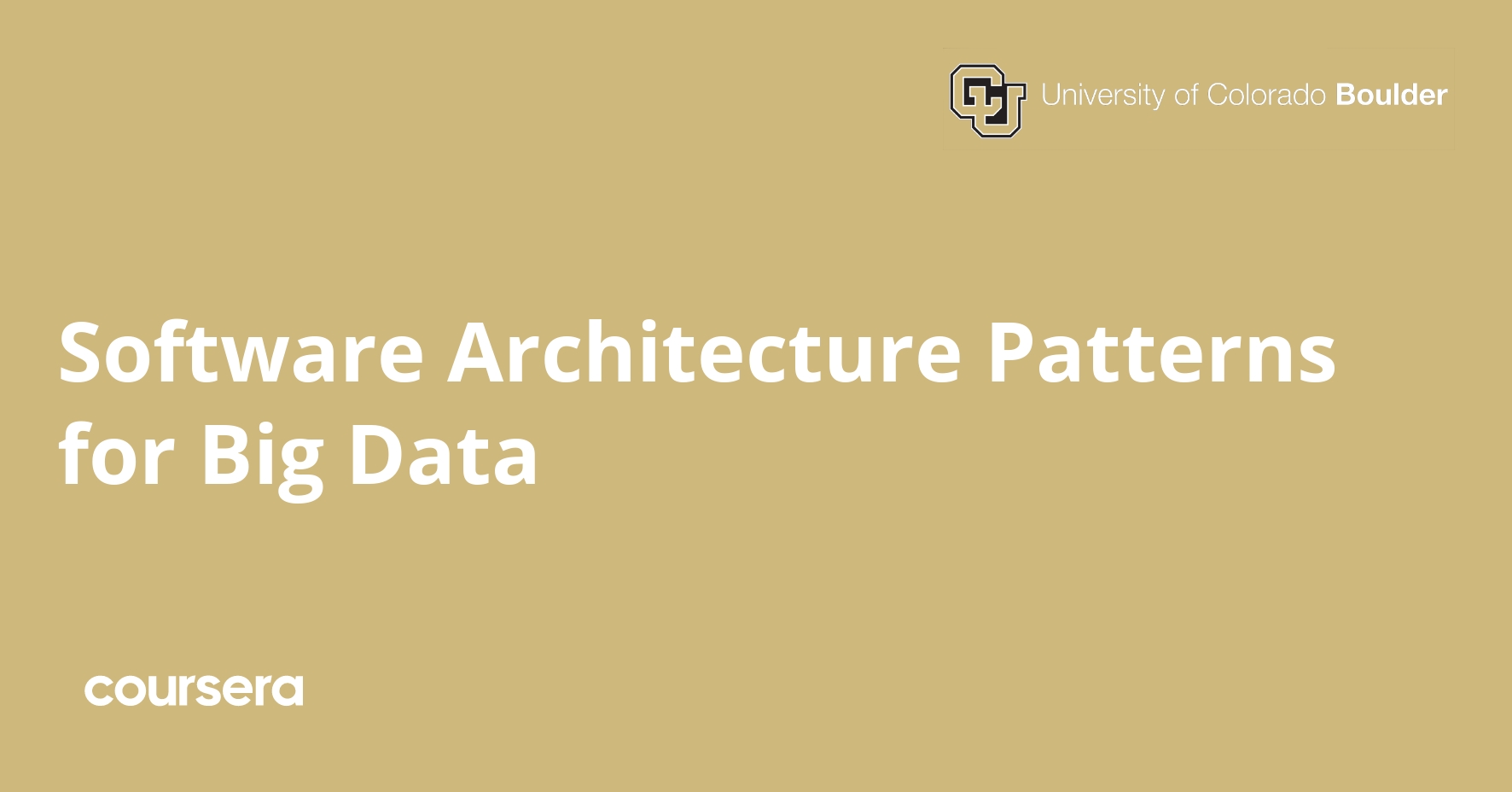 Software Architecture Patterns for Big Data - Coursya
